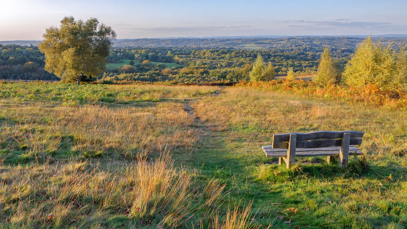 Pooh Trek tours of Ashdown Forest home of Winnie-the-Pooh